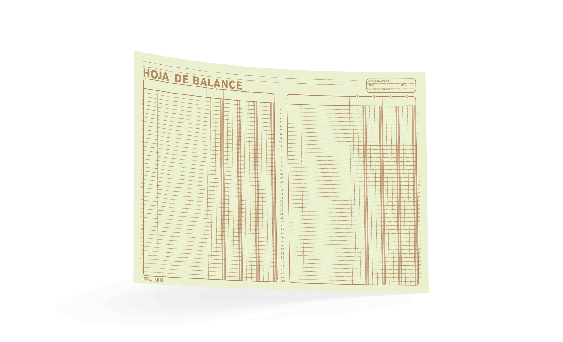 Formato Hoja De Balance General Para Imprimir